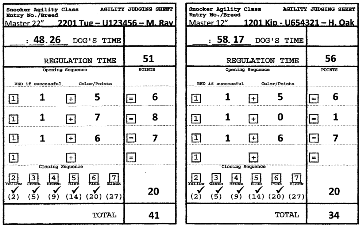 Scoring for Snooker (Points, then Time) – USDAA Agility Learning Center
